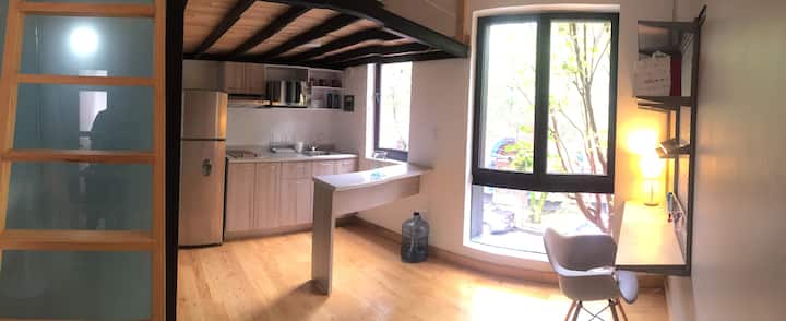 Coyoacán Beautiful Miniloft - Mexico City