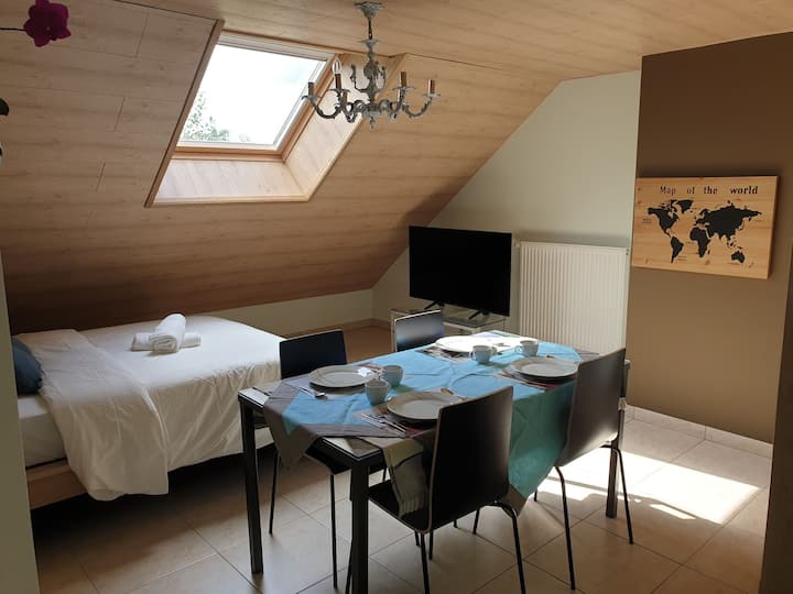 Private Room In A Nice Spot! 😀 - Paliseul