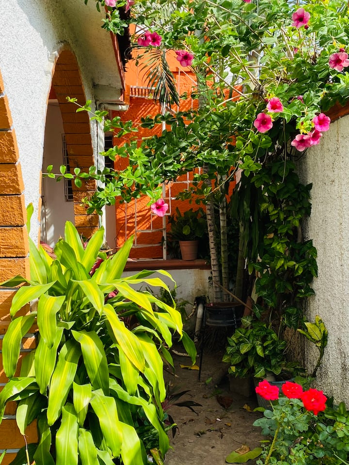 Charming True Mexican Rooftop Apartment - Colima