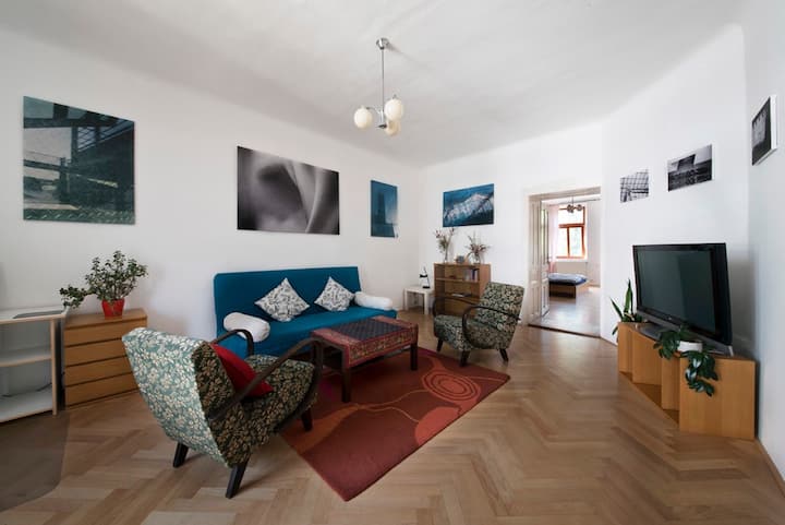 Spacious, Bright, Quiet Charm In City Centre - 브르노