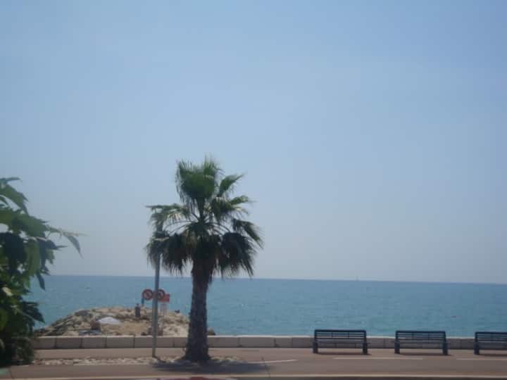 Studio Face  Mer, 20 M De La Plage - Villeneuve-Loubet