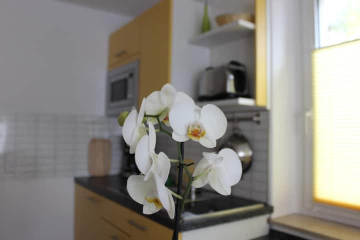 Weber Apartments - Pillnitz - Heidenau