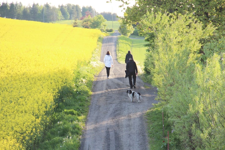 Stallet - Ystad