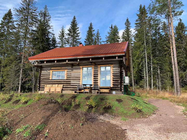 Log House With View, Höladan, Amazing Skiing - Orsa
