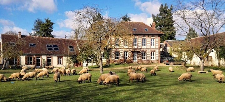 Gîte Du Charme Dans Ferme - Dreux