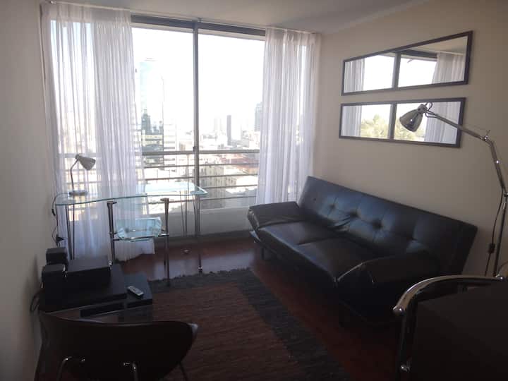 Heart Of Santiago: Bellas Artes Apt - Recoleta