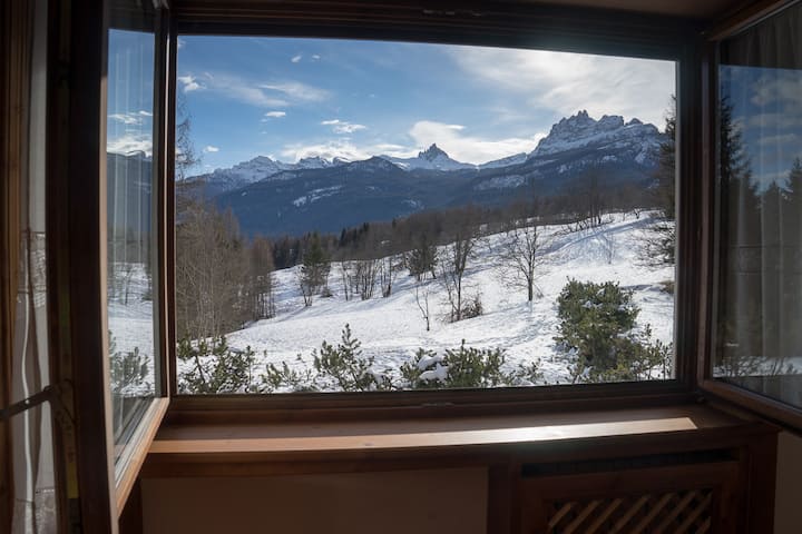 Deers Under The Window - Cortina d'Ampezzo