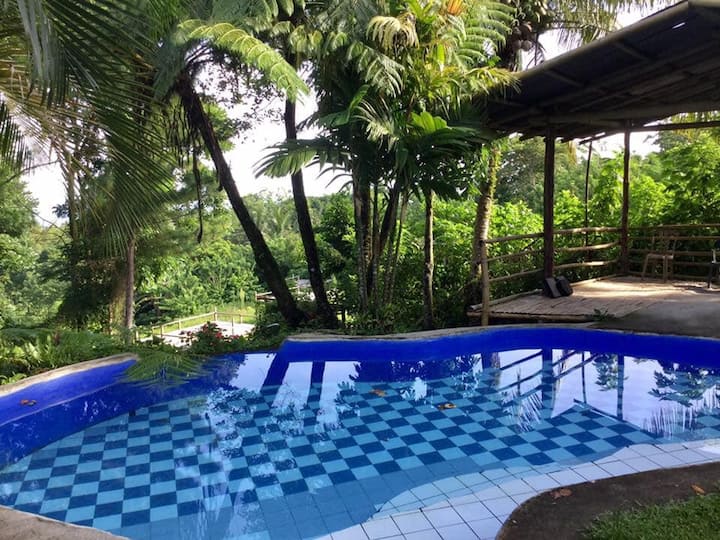 Patag Pine Winds Cottage - Silay