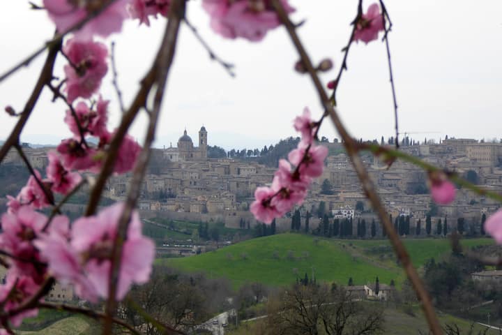 B&b Casa Dolce Casa - Urbino