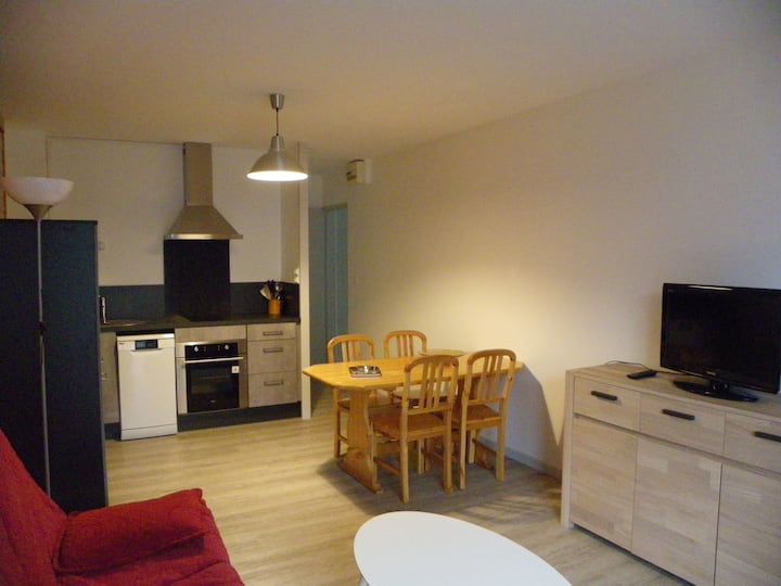 Appartement 3*** Lumineux - Villa Souchal - Mont-Dore