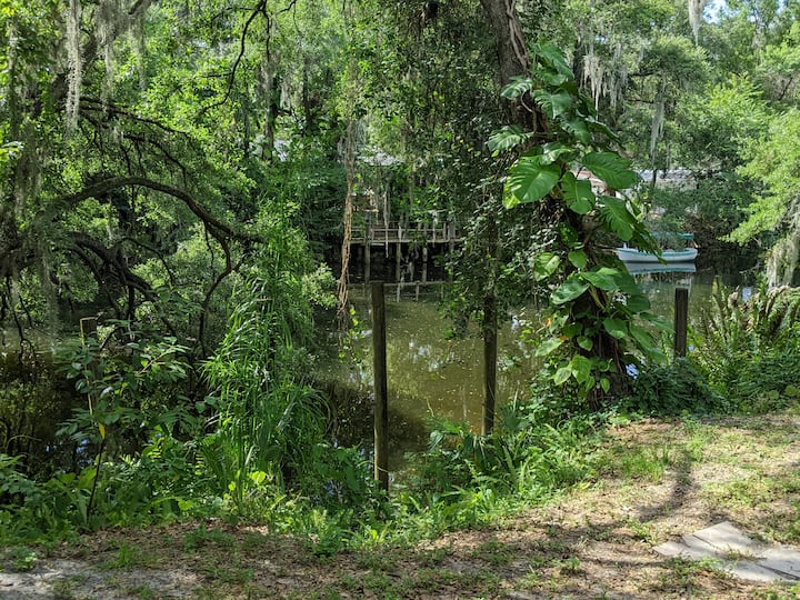 The River’s Edge! Central To All Things Tampa! - Tampa