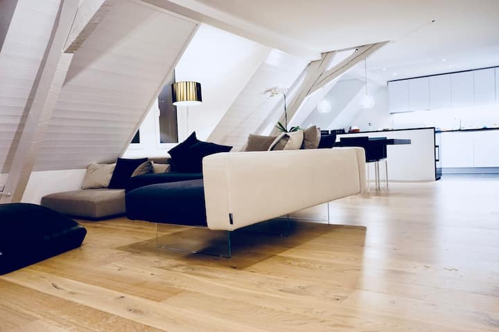 Luxury Downtown Penthouse Duplex Apartment - Zürich