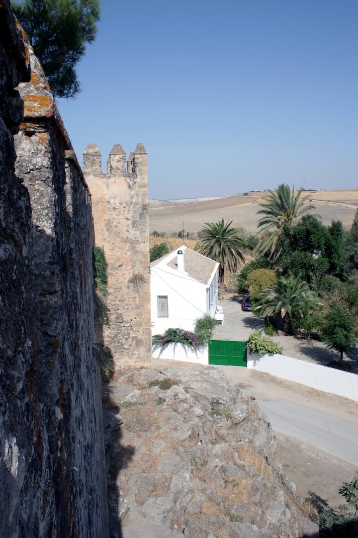 Casa Castillo De Las Aguzaderas. - Montellano