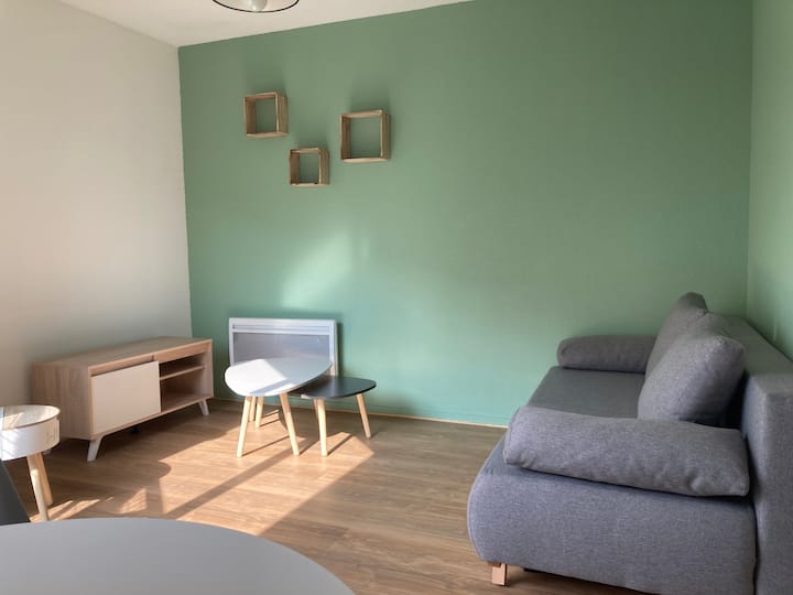 Studio Meublé Et Rénové -107 - Safari de Peaugres