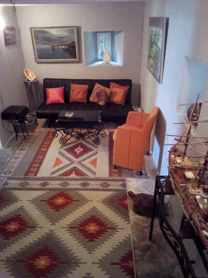 Proche Puy-du-fou, Chambres D'hôtes, 11 Personnes - Vendée