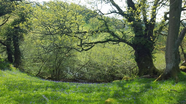 Gaer Farm - Llandrindod Wells