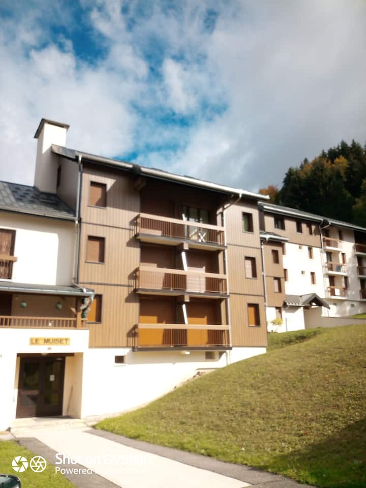 Duplex Proche Magasin Et Au Pied Des Pistes De Ski - Gex