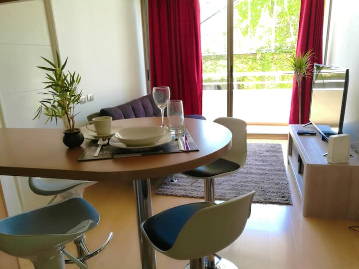 Providencia Apartment , With A Nice Location - Providencia