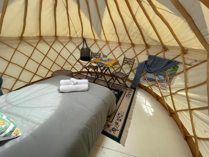 Sparrow Yurt At Sally's Brook - Cape Breton Island