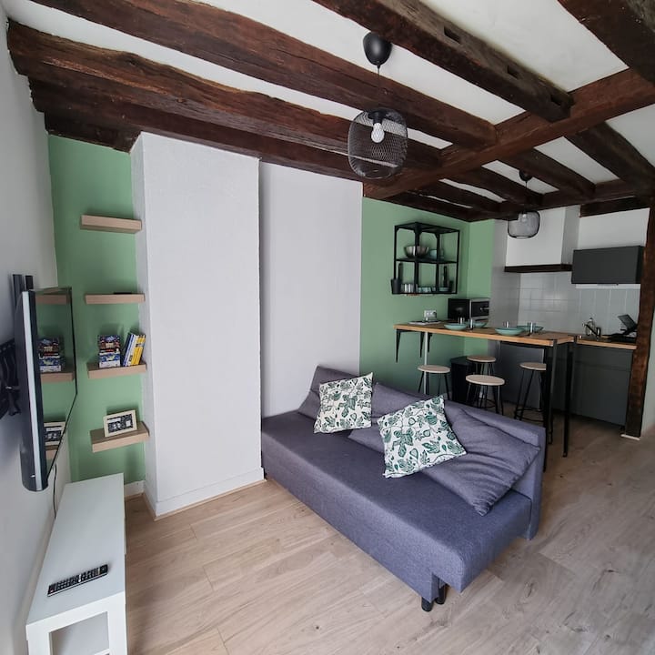 Grand Duplex Dans Le Centre Historique - Orléans