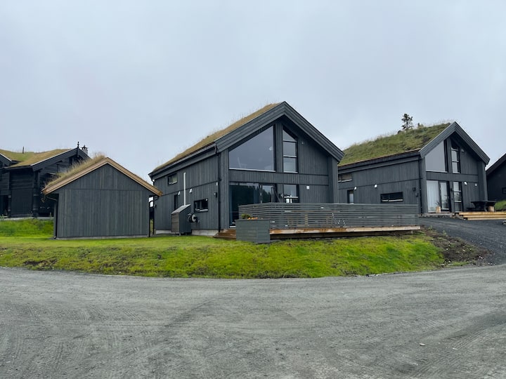 Hytte For Leie I Rauland, Holtardalen. - Norway