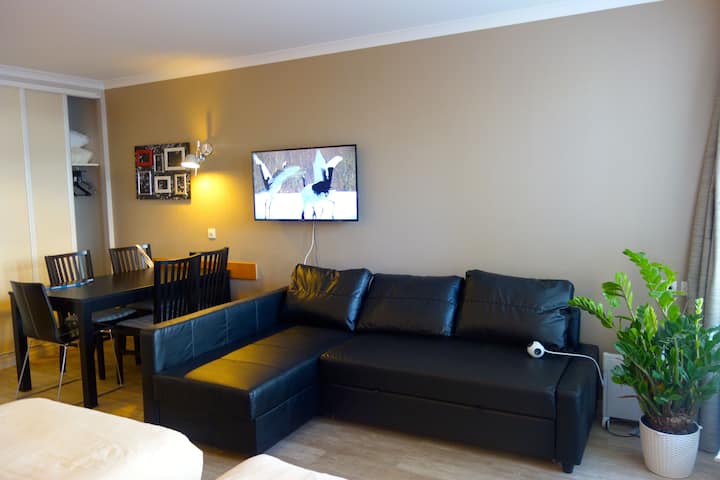 Studio Très Calme 33 M2 Paris Porte De Versailles - Meudon