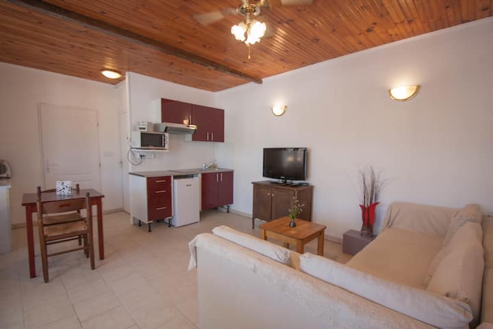 Appt F2  Non Fumeur (Terrasse Abritée Pour Eux) - Briare
