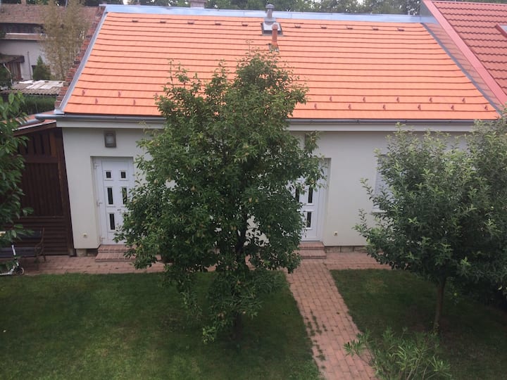 House With Garden At The River Danube - Budapest