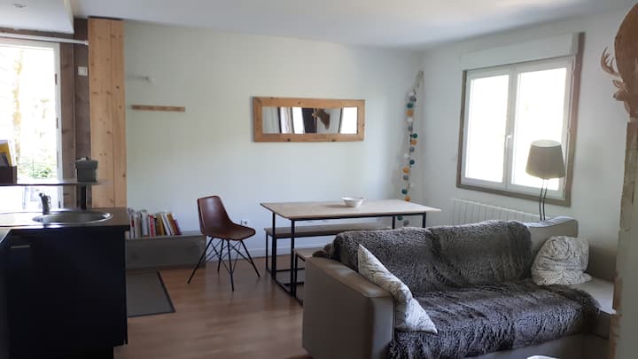 Joli Appartement à Villard De Lans - Villard-de-Lans