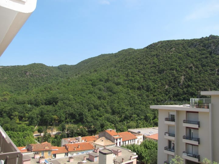 Résidence Des Thermes C5 - Amélie-les-Bains-Palalda
