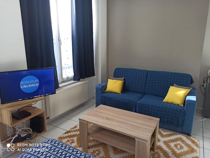 Grand Studio Cosy Au Centre-ville - Strasbourg