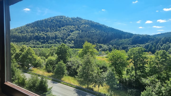 Balkon Mit Seeblick Hillebachsee Winterberg - Winterberg