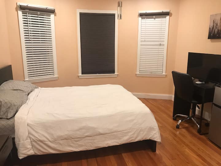 Non Smoking Room S:specious Super Safe Quietclean - Boston, MA