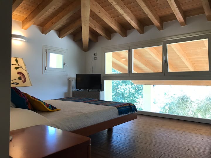 L'olivaia - San Zeno di Montagna