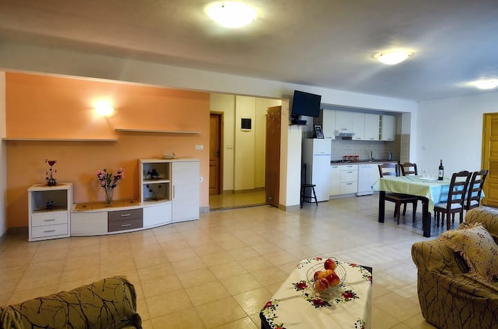 Apartment Nada Near Buzet - Buzet