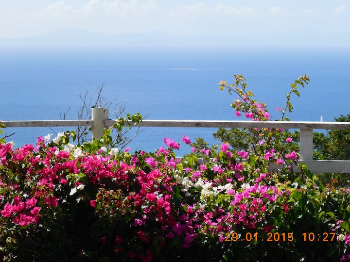 "La Villa Bellevue" Avec Piscine - Martinique
