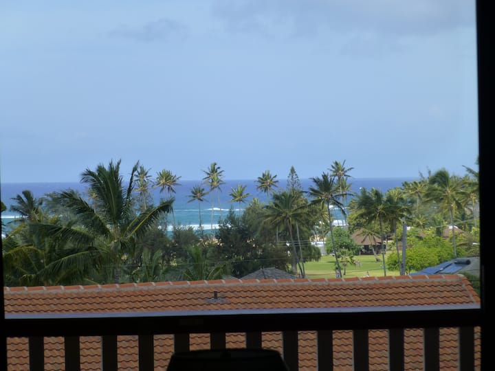 Deluxe Poipu Beach Oceanview - No Stairs! A/c! - Poipu
