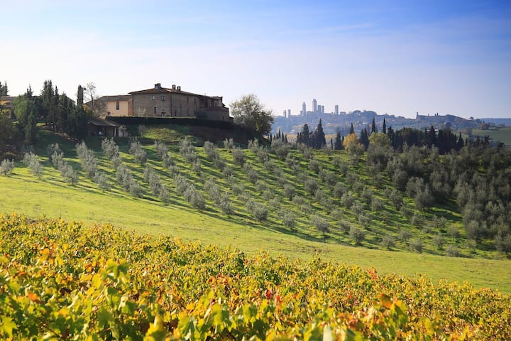 Monteg2: Tuscan Farm Apt For 4+2 San Gimignano - San Gimignano