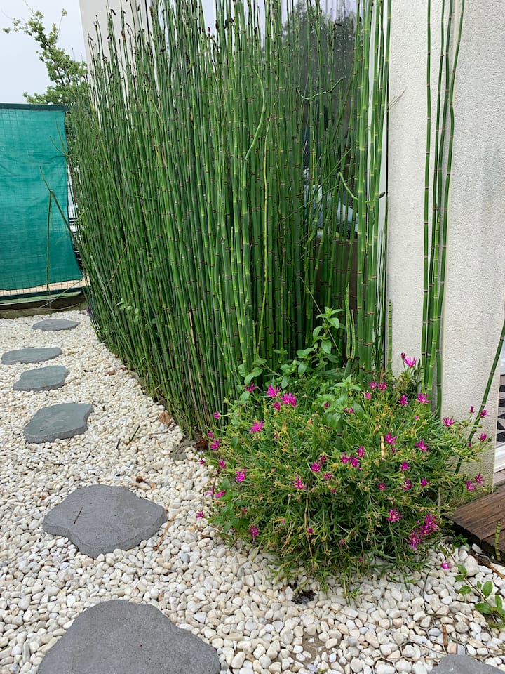 Maison Mitoyenne Entière De 95 M2 Dans éCoquartier - Soorts-Hossegor