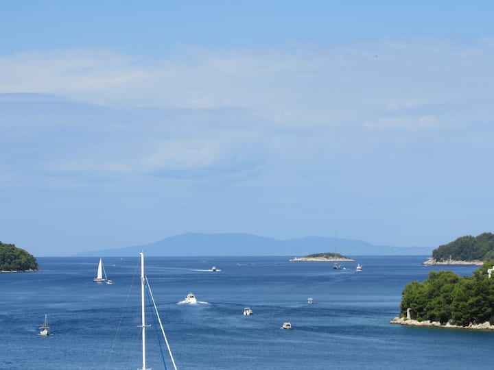 Apartment Vela Luka With Sea View Terrase - Vela Luka