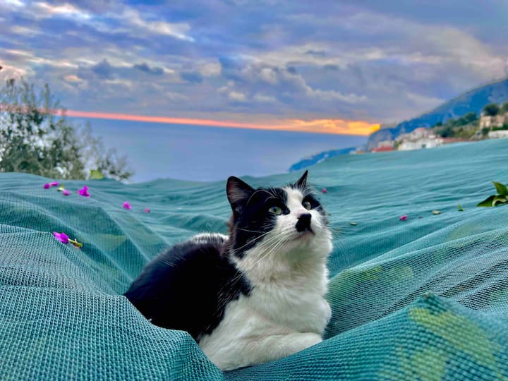 The Parfect Romantic Spot On The Amalfi Coast! - Amalfi