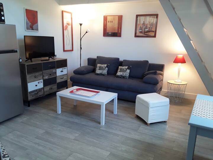 Studio Avec Mezzanine,  Jardin,  La Rochelle - La Rochelle