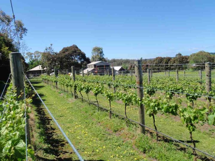 Barn & Boatshed Stay At The Vines Mt Martha - Shire of Mornington Peninsula