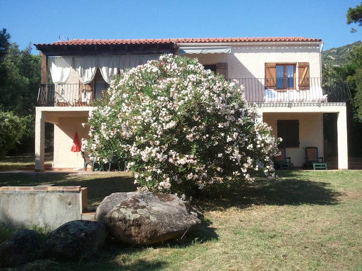 Appartement De 4 Pièces à 50 M De La Plage. - Belvédère-Campomoro
