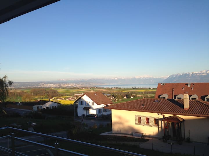 Magnifique Vue Lac Léman Et Alpes - Morges