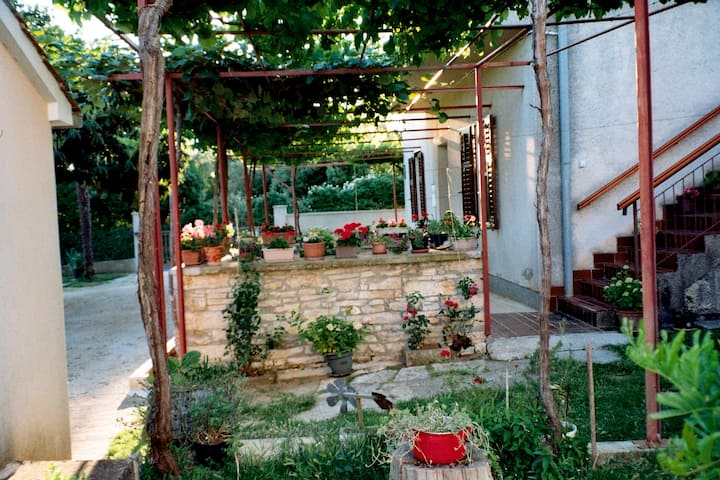 Stinjan Apartmani Elda - Pula - Fažana