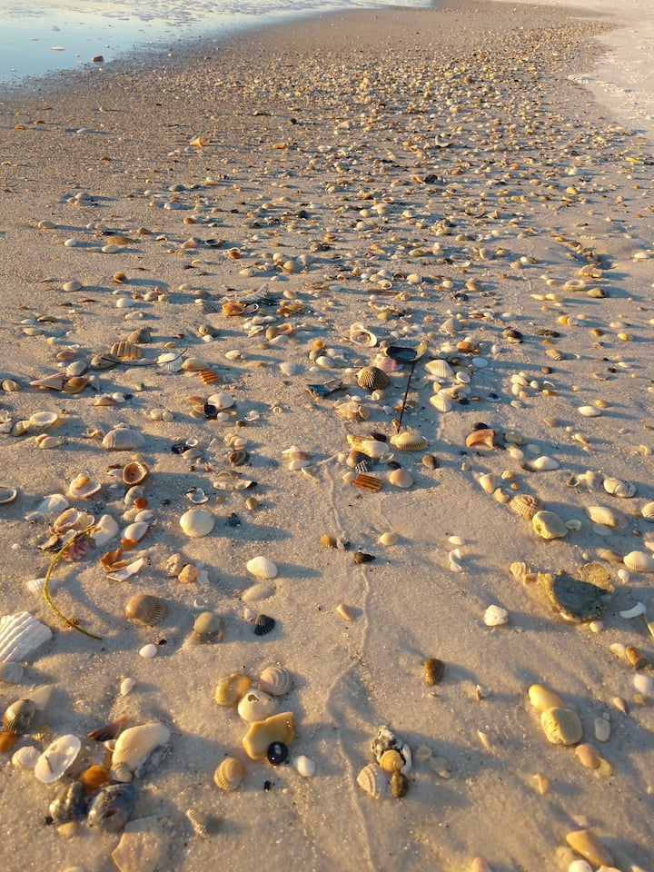 Beach Dreams! - Cape San Blas, FL