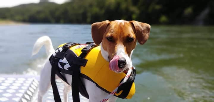 Dusky Retreat - Te Anau