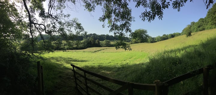 Bisley Camping - Woodland Site - Cirencester