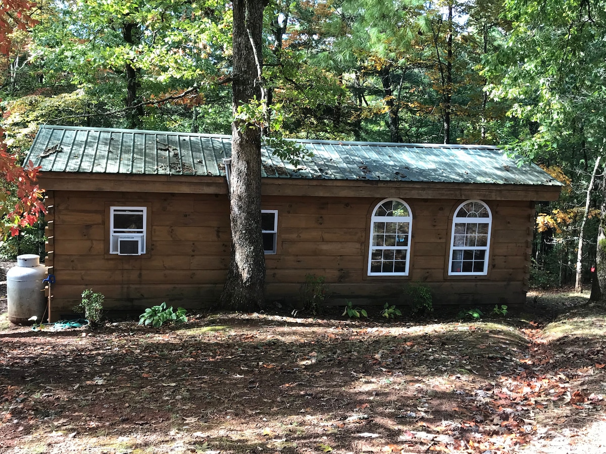 Blue Ridge Mountains Cabin Vacation Rentals - United States | Airbnb